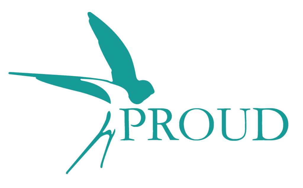 The PROUD project has now officially been launched | Nidos in Europe